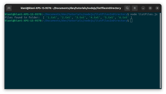 List files in a directory using nodejs